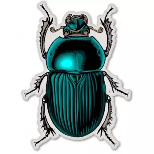 Beetle Bug Insect Nature Science Car Sticker Phone Decal Water Bottle ...