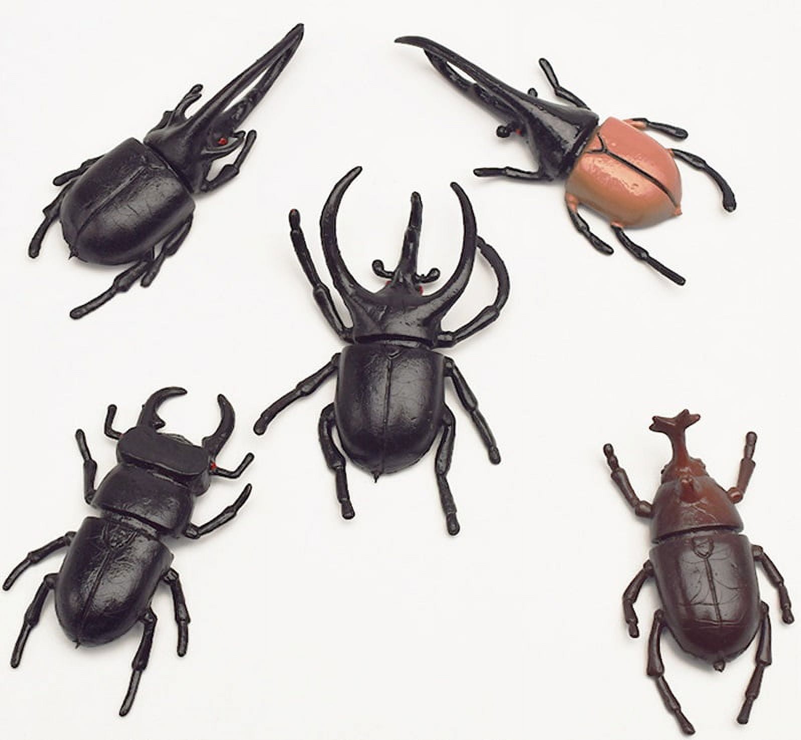Beetle Insect Model Toys, 6 Simulation Insect Model Skills Props Non ...