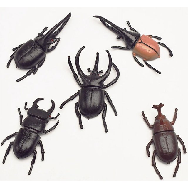 Beetle Insect Model Toys, 6 Simulation Insect Model Skills Props Non ...