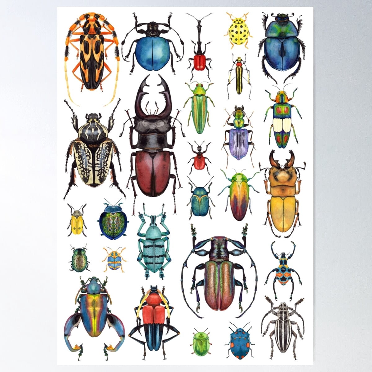 Beetle Mania Poster, 18x24 UNFRAMED - Walmart.com