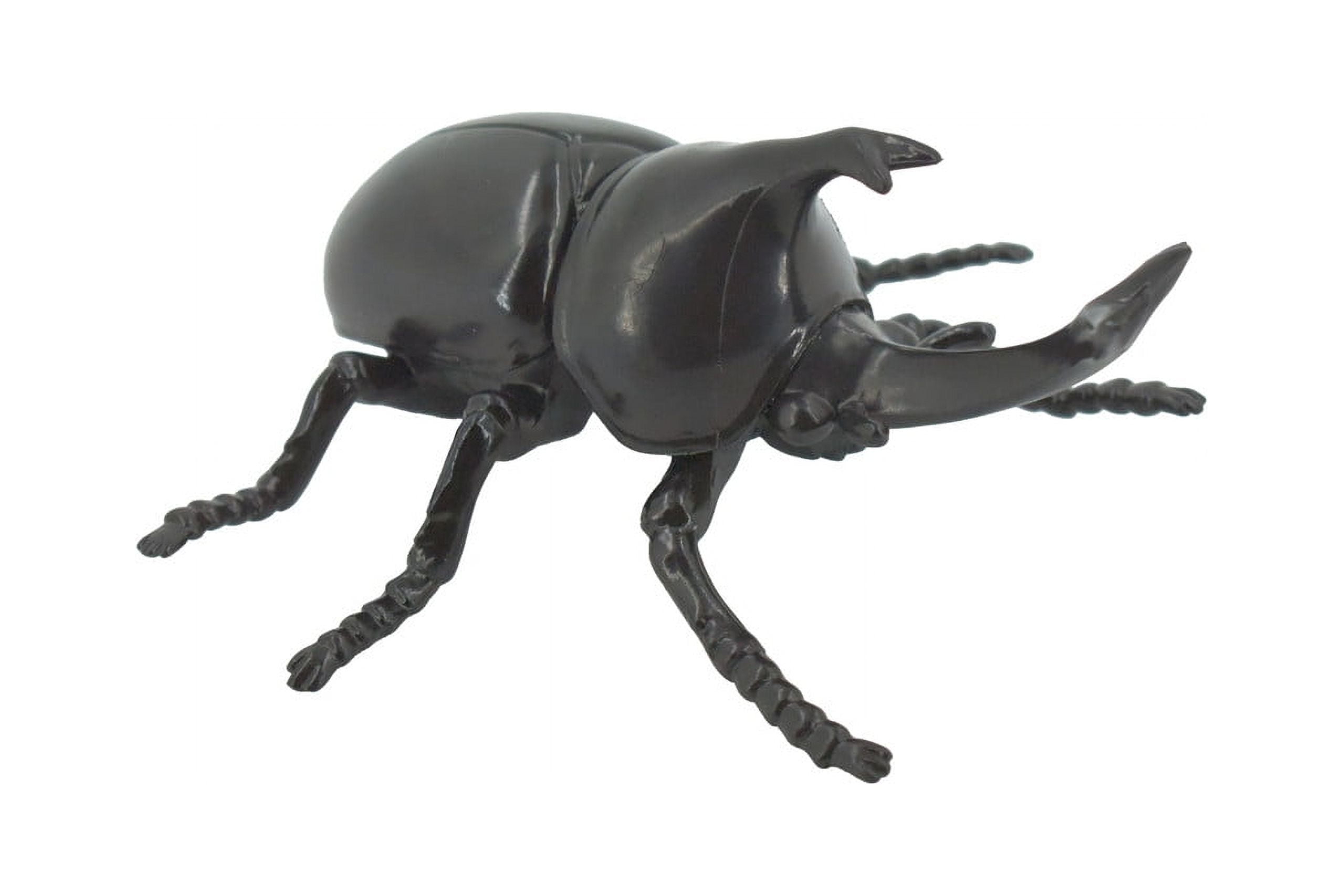 Rhinoceros Beetle Figurine, Lifelike Animal Plastic Toy, Educational ...