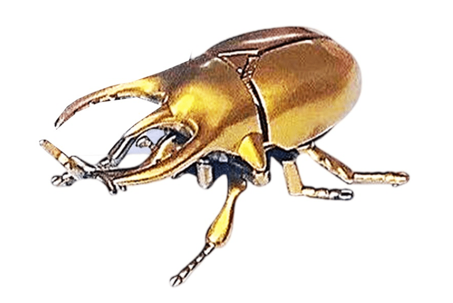 Beetle Toy Wind-up Model Realistic Crawling Plastic Insect Creative ...