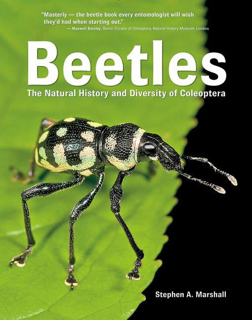 Beetles : The Natural History and Diversity of Coleoptera - Walmart.com