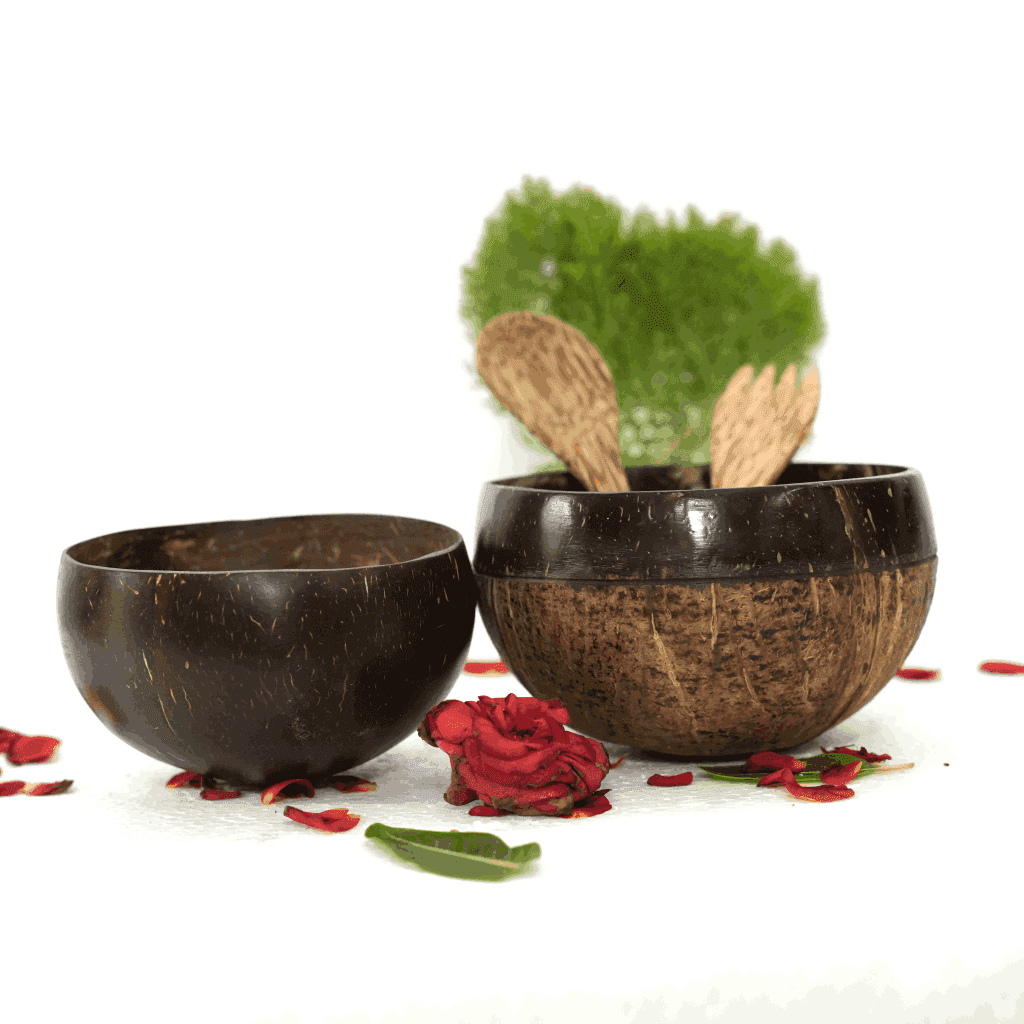 Beetroots Eco-living Coconut Shell Bowls Combo with spoon and fork( 2 ...