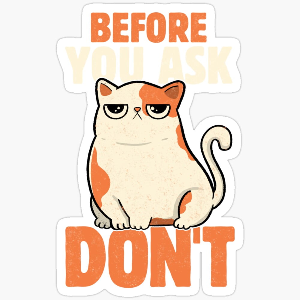 Before You Ask Don'T Sticker Phone Decal Water Bottle Stickers Car ...
