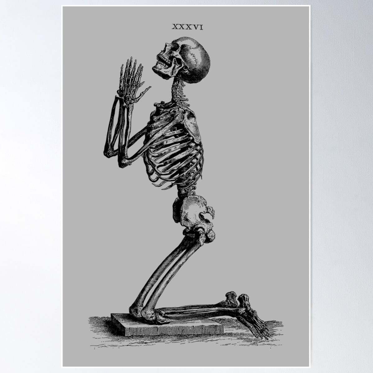 Begging Skeleton Poster Wall Art, Modern Wall Decor For Living Room ...