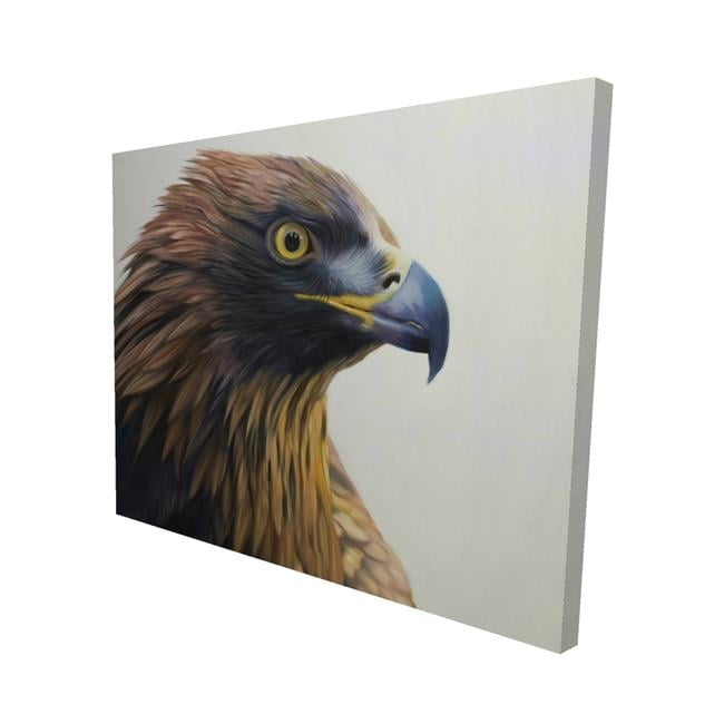 Begin Home Decor 2080-1620-AN463 16 x 20 in. Brown-Headed Eagle-Print ...