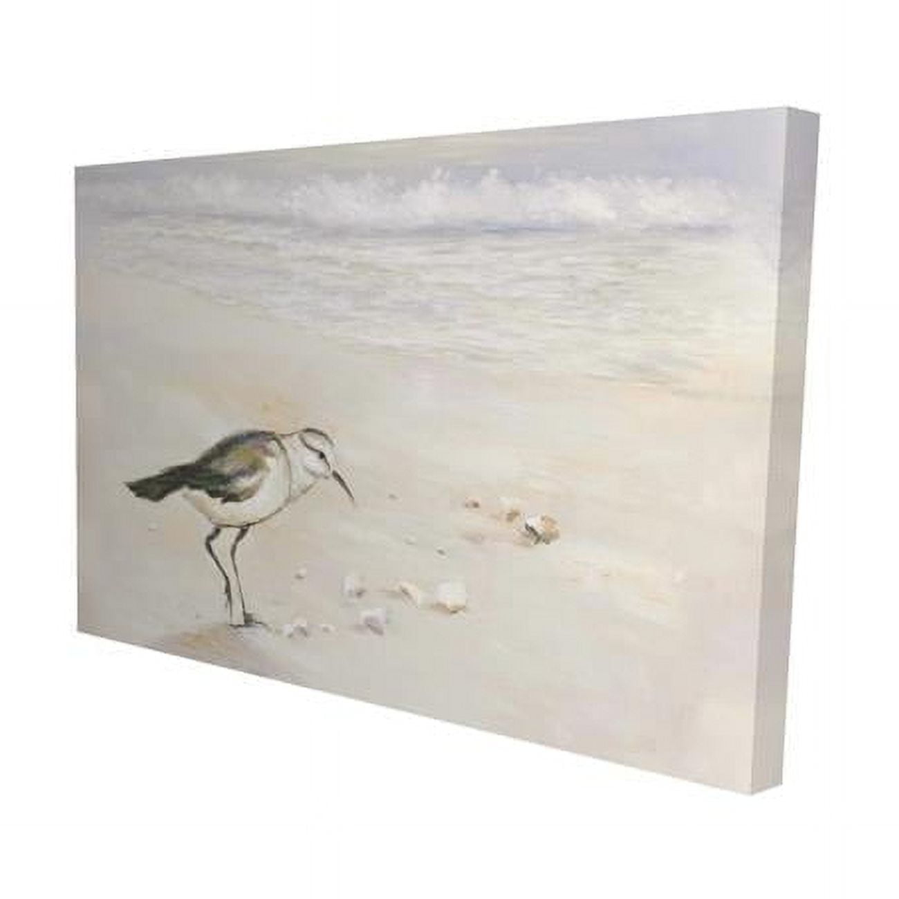 Begin Home Decor 2080-2030-AN98 20 x 30 in. Semipalmated Sandpiper on ...