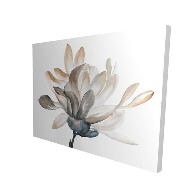 Begin Home Decor 2080-3648-FL279 36 x 48 in. Softness - Floral ...