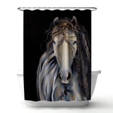 Begin Home Decor 4240-7174-AN220 71 x 74 in. Abstract Horse Shower ...