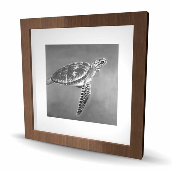 Begin Home Decor C1FM1616NCH5BA 16 x 16 in. Grayscale Aquatic Turtle ...