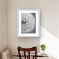 Begin Home Decor C1FM1620562CJW 16 x 20 in. Dandelion Puff Ball ...