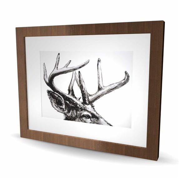 Begin Home Decor C1FM16209NE5UE 16 x 20 in. Roe Deer Plume - Gray ...