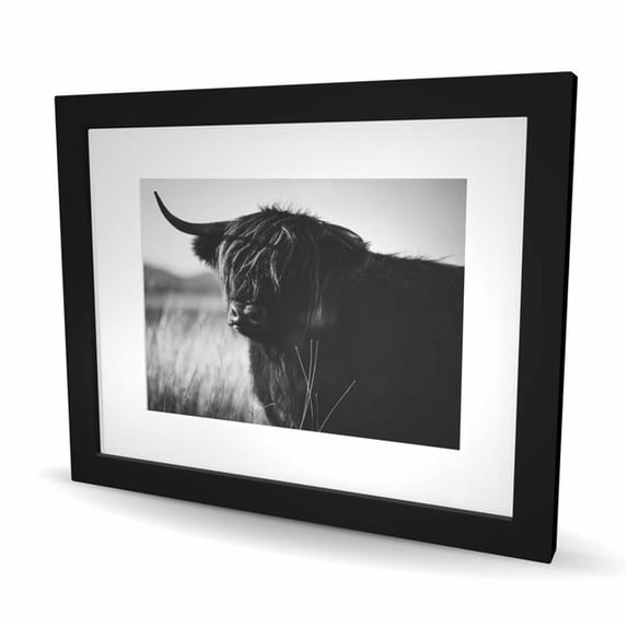 Begin Home Decor C1FM1620TS4D5R 16 x 20 in. Beautiful Monochrome ...