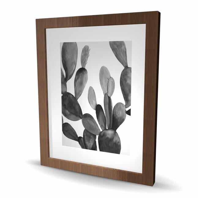 Begin Home Decor C1FM1620XMSIMZ 16 x 20 in. Grayscale Cactus - Exotic ...