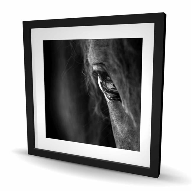 Begin Home Decor C1FM2424Z1W3Z6 24 x 24 in. Black Horse Framed Matted ...