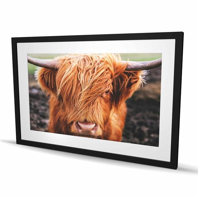 Begin Home Decor C1FM243631QV7B 24 x 36 in. Portrait Highland Cow Print ...