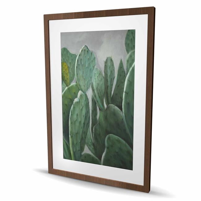 Begin Home Decor C1FM2436CQ2ARJ 24 x 36 in. Paddle Cactus - Floral ...