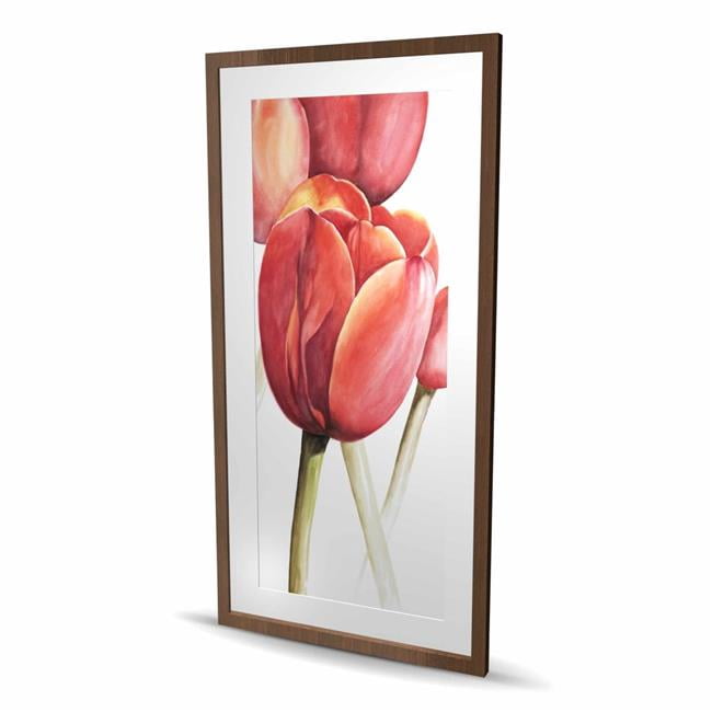 Begin Home Decor C1FM2448KHHVAM 24 x 48 in. Blossoming Tulips Closeup ...