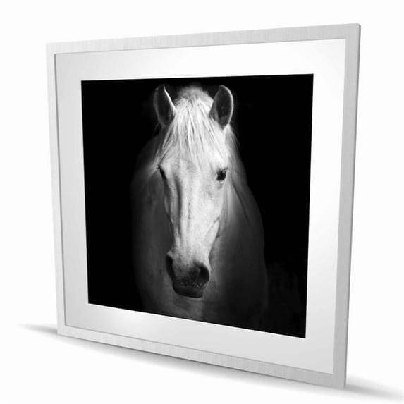 Begin Home Decor C1FM36366R2G5I 36 x 36 in. Monochrome Horse - Black ...