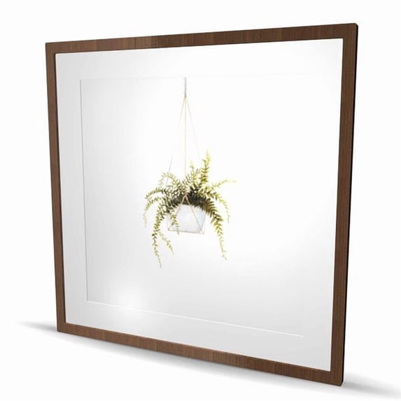Begin Home Decor C1FM3636SEHC55 36 x 36 in. Suspended Fern - Framed ...