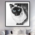 Begin Home Decor C1FM48483ZP6YW 48 x 48 in. Blue Eyes Siamese Cat Print ...