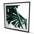 Begin Home Decor C1FM4848E6E9MK 48 x 48 in. Monstera Deliciosa Framed ...