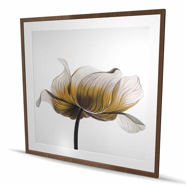 Begin Home Decor C1FM4848NXCQXB 48 x 48 in. Yellow Anemone Flower ...