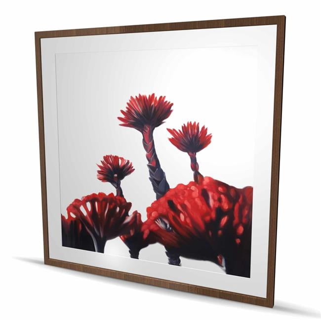 Begin Home Decor C1FM4848R970OU 48 x 48 in. Red Tropical Flowers Framed ...