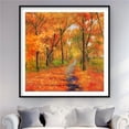 Begin Home Decor C1FM4848Y2395G 48 x 48 in. Autumn Trail in the Forest ...