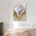Begin Home Decor C1MP1218P2GDNC 12 x 18 in. Conical Shell - White Beach ...