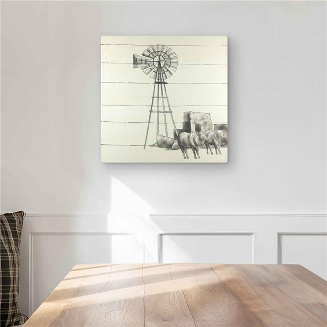 Begin Home Decor C1MP16160ZGEKD 16 x 16 in. Vintage Old Texas Windmill ...
