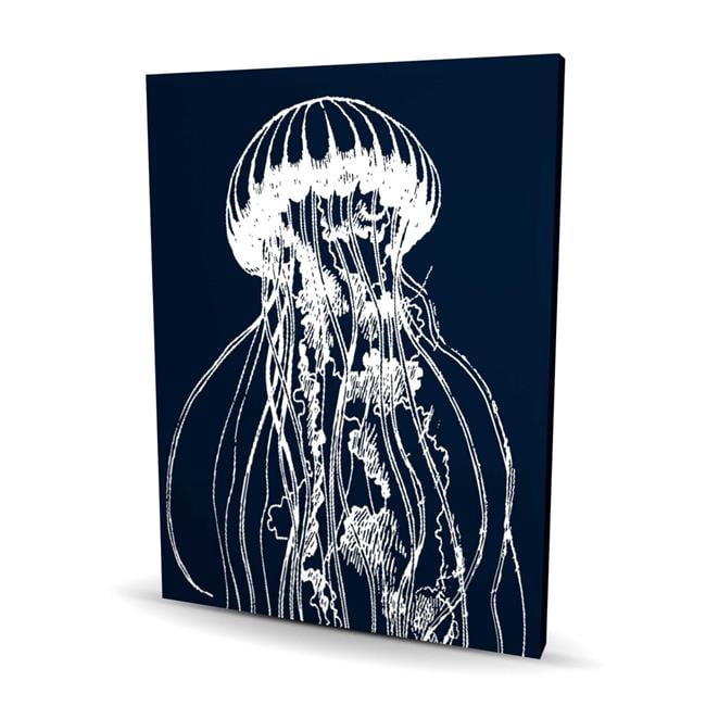 Begin Home Decor C1RC3648VEW693 36 x 48 in. White Jellyfish ...