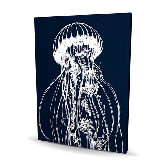 Begin Home Decor C1RC3648VEW693 36 x 48 in. White Jellyfish ...