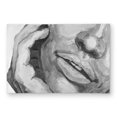 Begin Home Decor C1ROAR231DYOWZ 2 x 3 ft. Irresistible Lips Gray ...