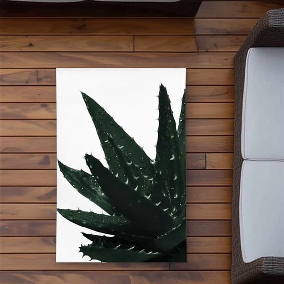 Begin Home Decor C1ROAR2343FKW4 2 x 3 ft. Aloe Plant Bedroom ...