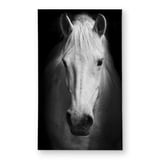 Begin Home Decor C1ROAR35IY71X5 3 x 5 ft. Monochrome Horse Rug - White ...
