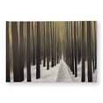 Begin Home Decor C1ROAR46437G3F 4 x 6 ft. Hiking in the Forest Outdoor ...