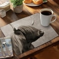 Begin Home Decor C6BP1418FNL3JU 14 x 18 in. Beautiful Highland Cattle ...