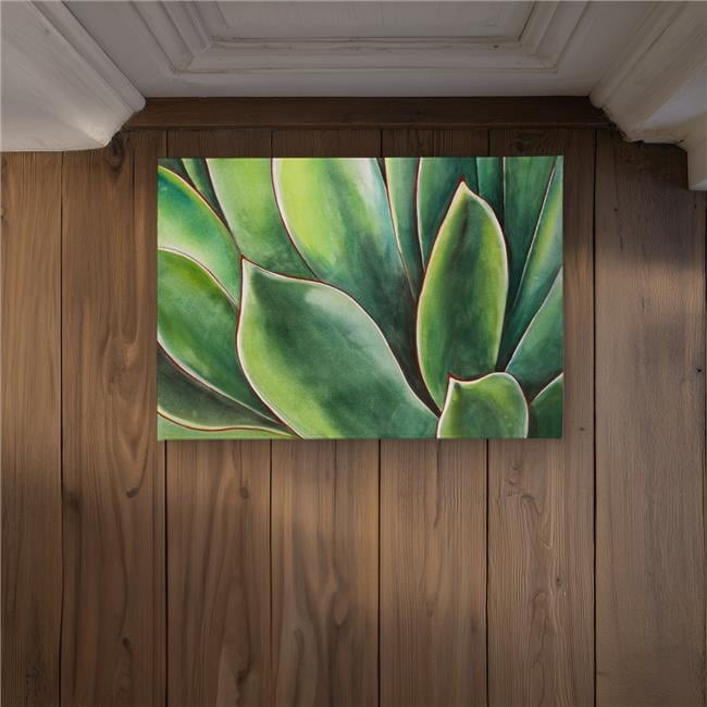 Begin Home Decor CODM17249VPJ0F 17 x 24 in. Watercolor Agave Plant Door ...