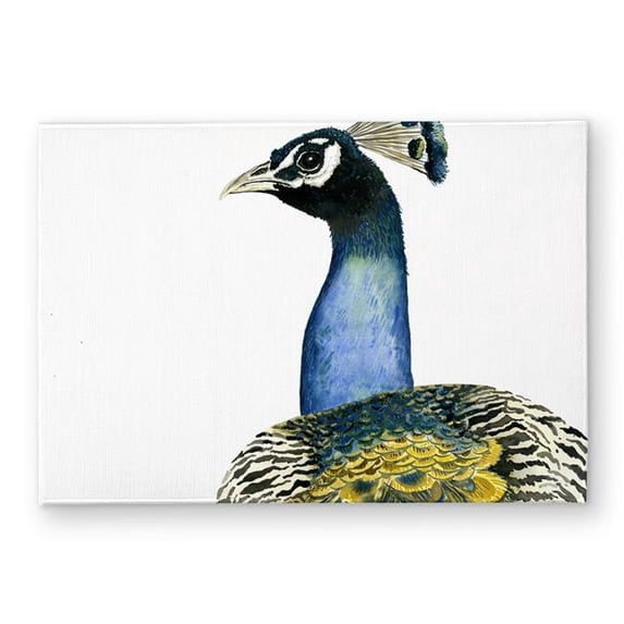 Begin Home Decor CODM1724U5W18I 17 x 24 in. Watercolor Peacock Door Mat ...