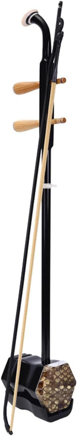 Beginner Chinese 2 Strings Violin, 32 inch Traditional National ...