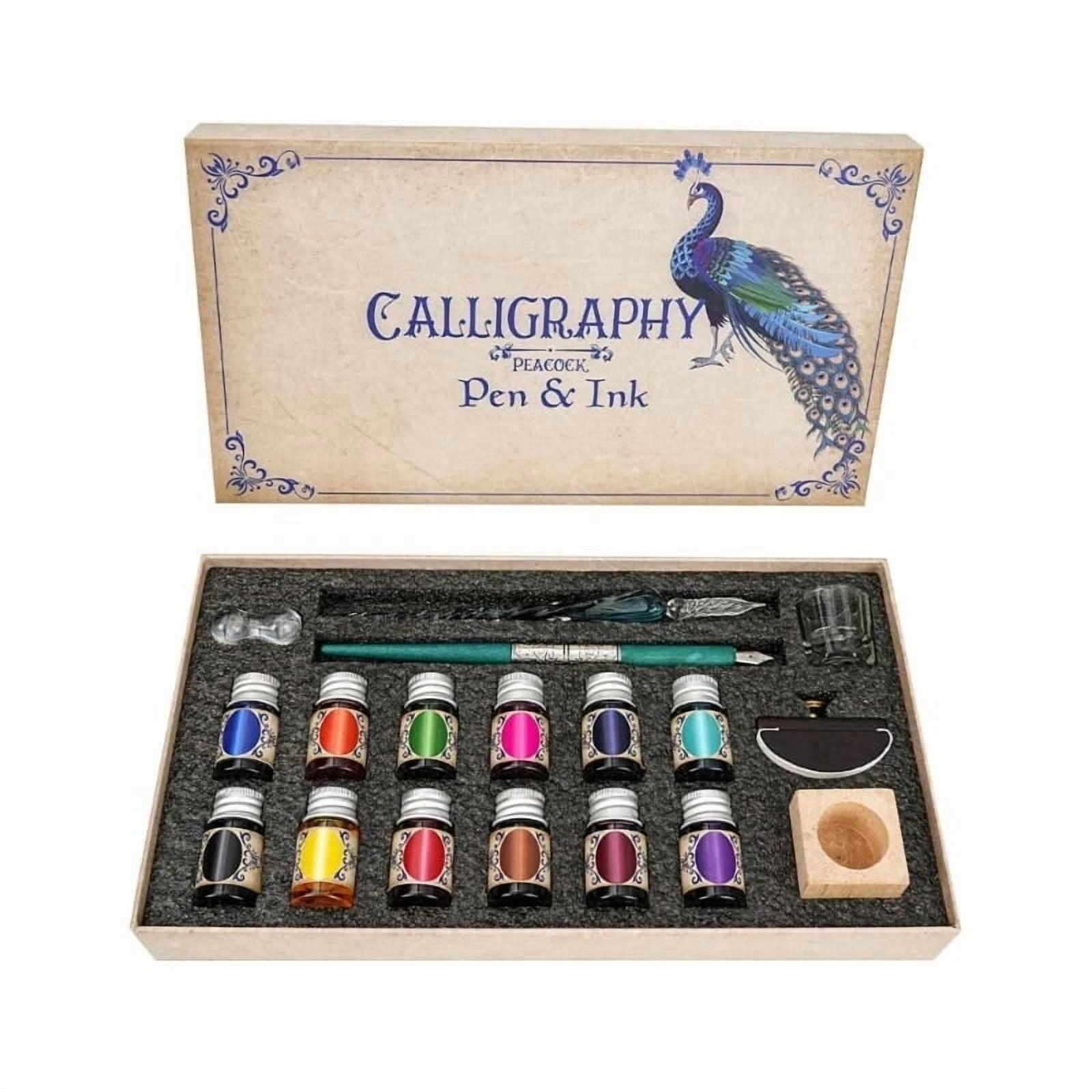 Beginner Dip Pen Set Includes 12 Colorful Ink Bottles Calligraphy Set ...