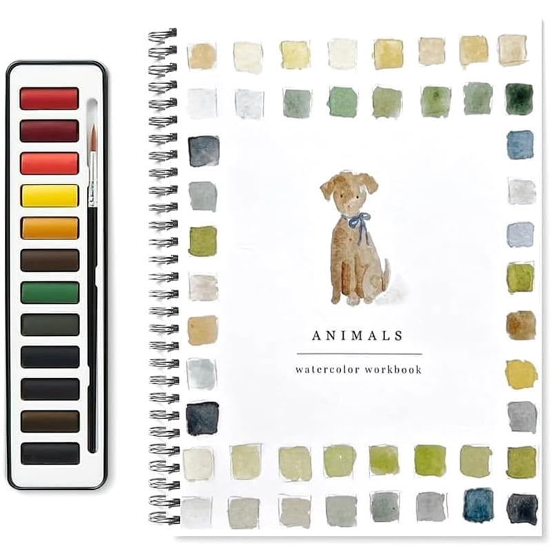 Beginner-Friendly Watercolor Painting Kit, 12-Color Paint Set with ...