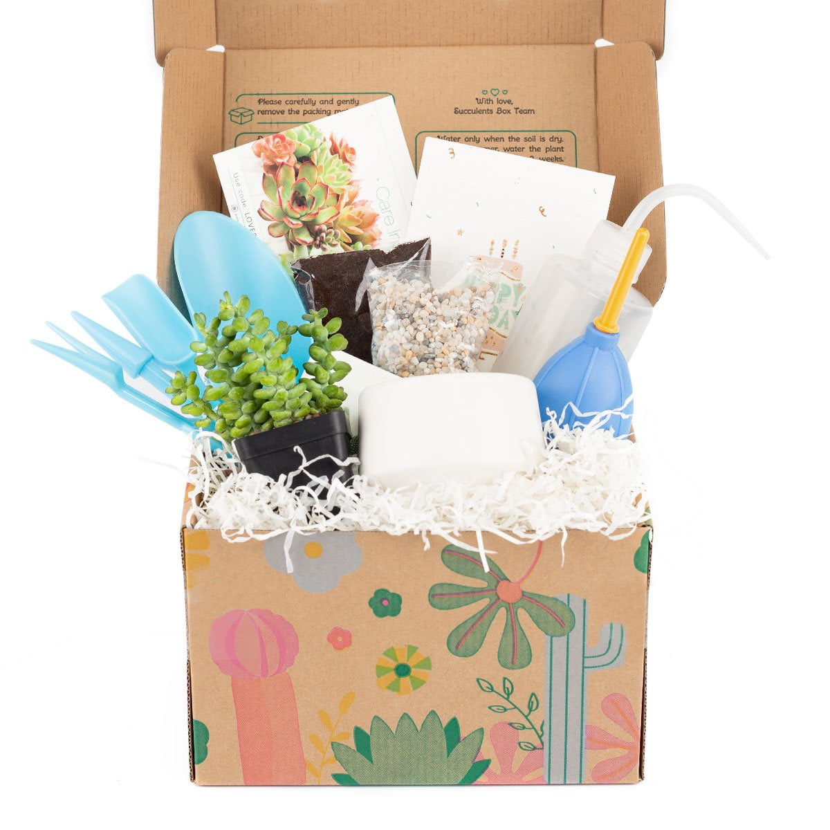 Beginner Kit Gift Box - 4 inch plant - Walmart.com