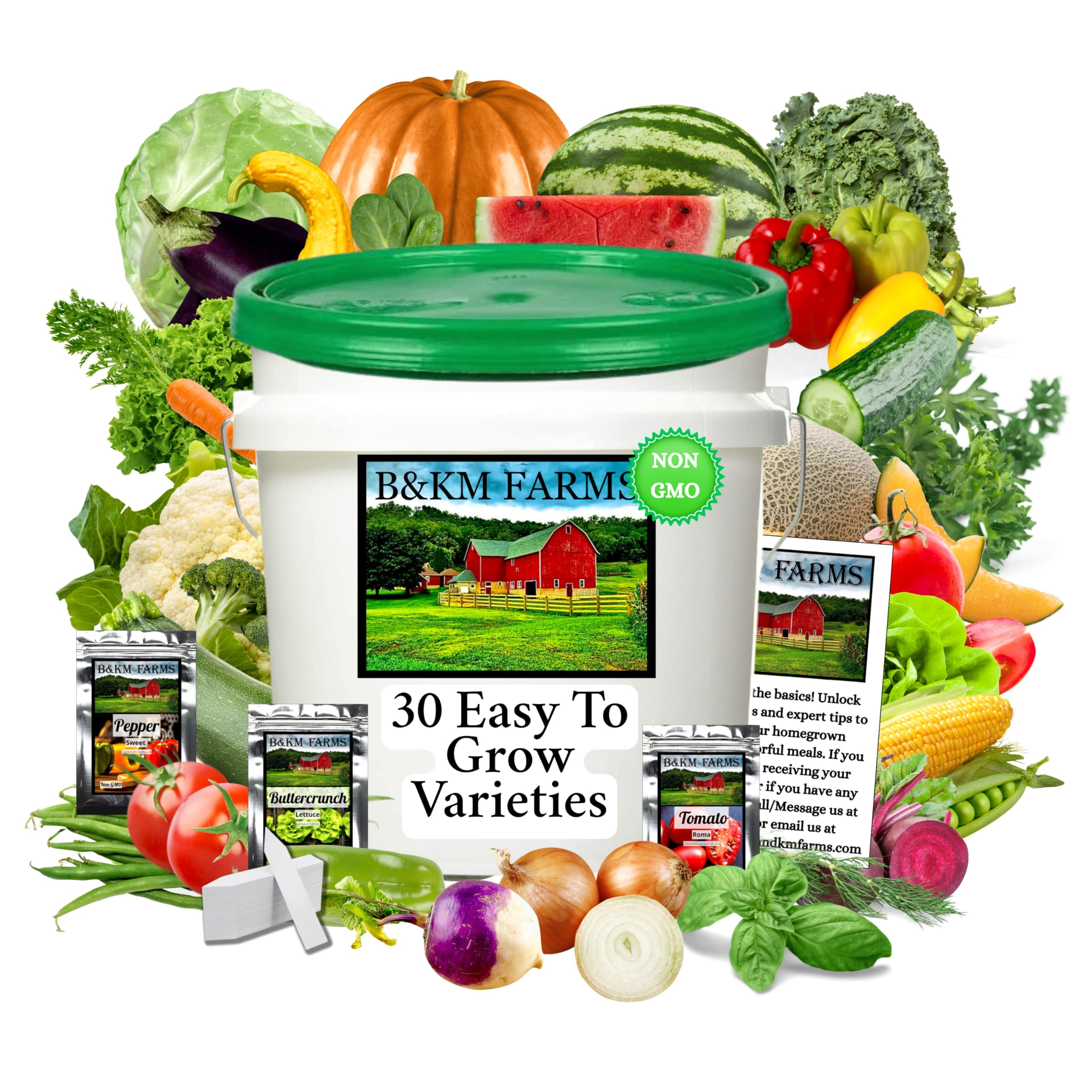 Beginner Survival Seed Vault: 20,000+ Heirloom MVR1 & Non-GMO Seeds (30 Easy to Grow Varieties ...