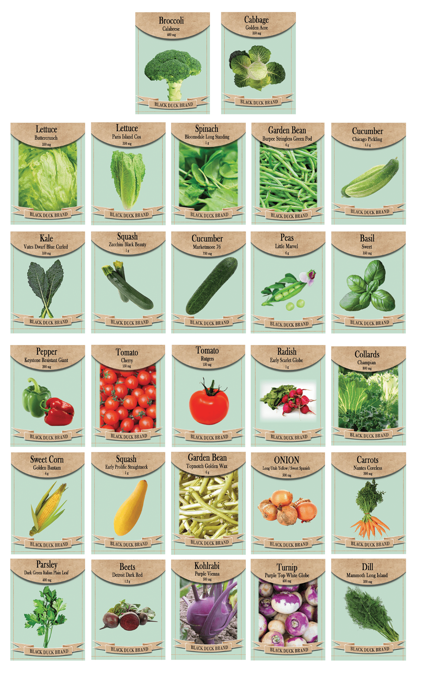 Beginner Vegetable Garden Seed Pack – 25 Heirloom Vegetable Seed ...