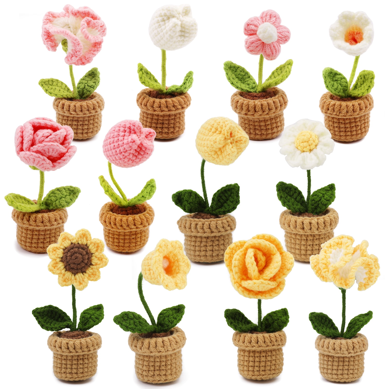 Beginners Crochet Kit, 2 Pack Cute Small Pot Kit for Beginers and ...