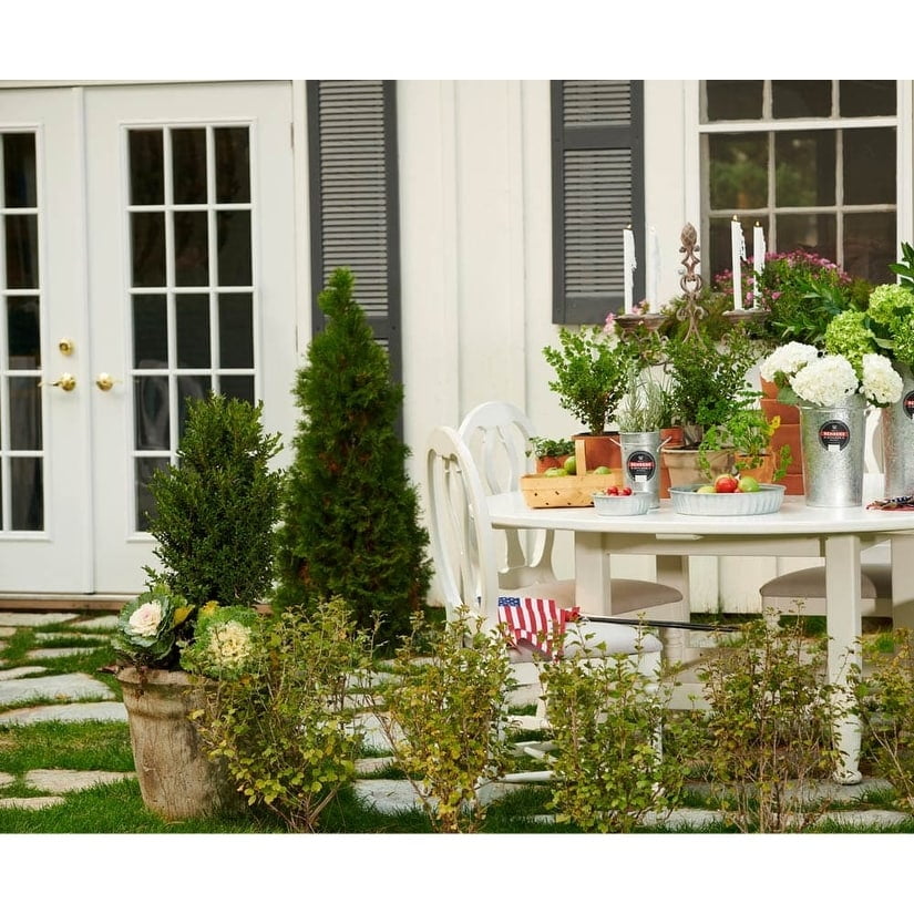 Behrens Manufacturing Galvanized Zinc Coated Steel Vases Small - Walmart.com