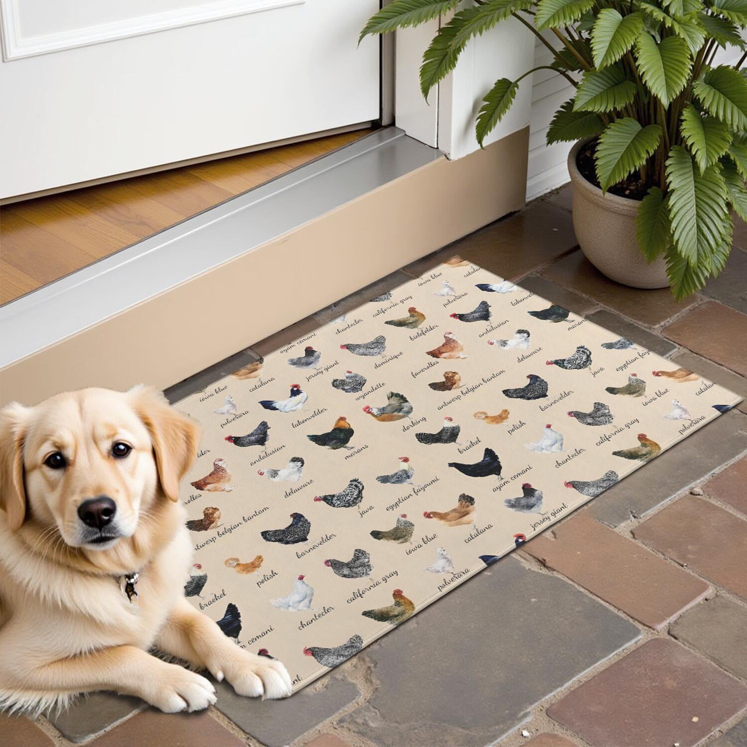 Beige Chicken Breed Pattern Door Rugs,Washable Non Slip Door Mats ...